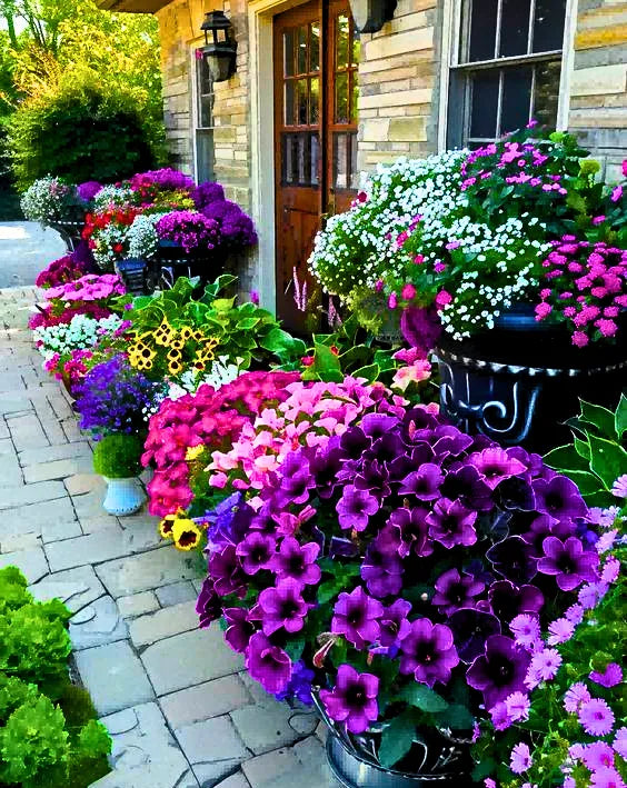 Widest Collection of Indoor and Outdoor flowering plants – Lalit Enterprise